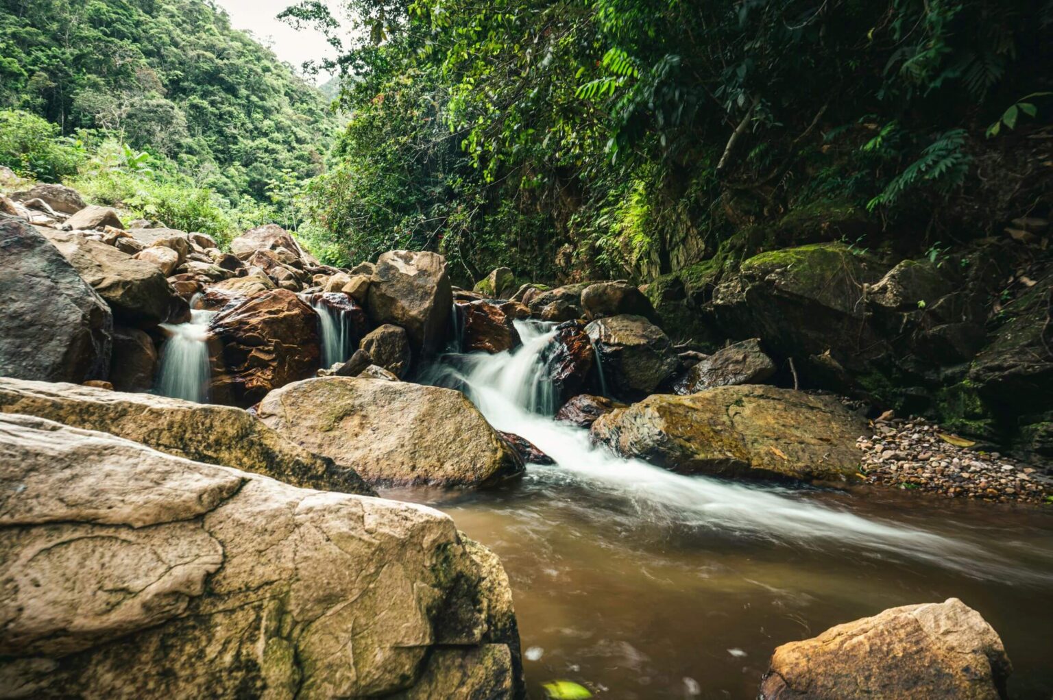 How to Stay Safe in the Amazon Rainforest – 5 Best Tips