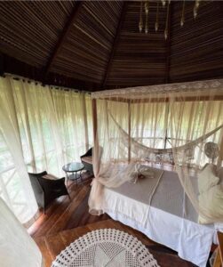 Best Hotels in the Amazon Rainforest - 6 Options
